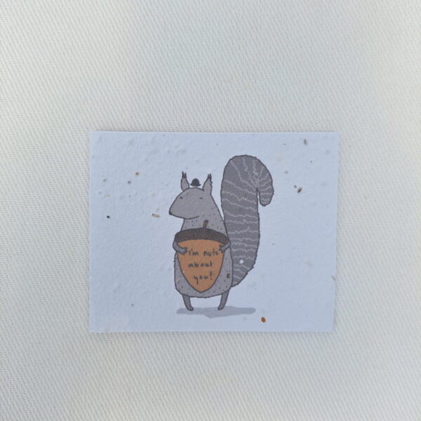 Mini Cards - Growing Paper