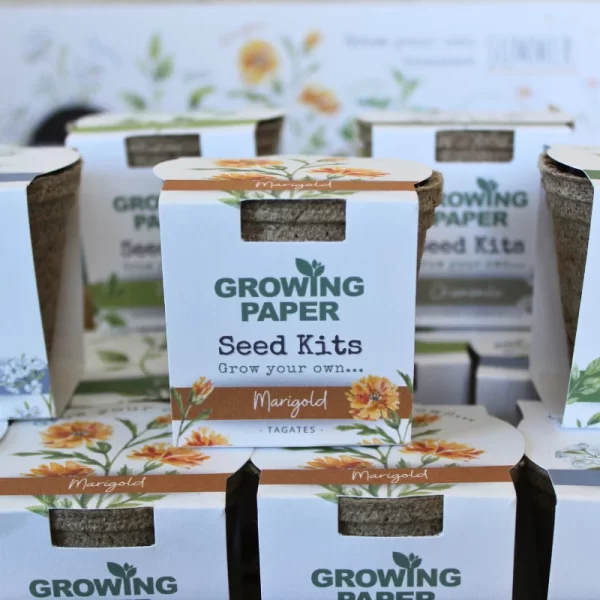 Plantable Seed Paper Shop