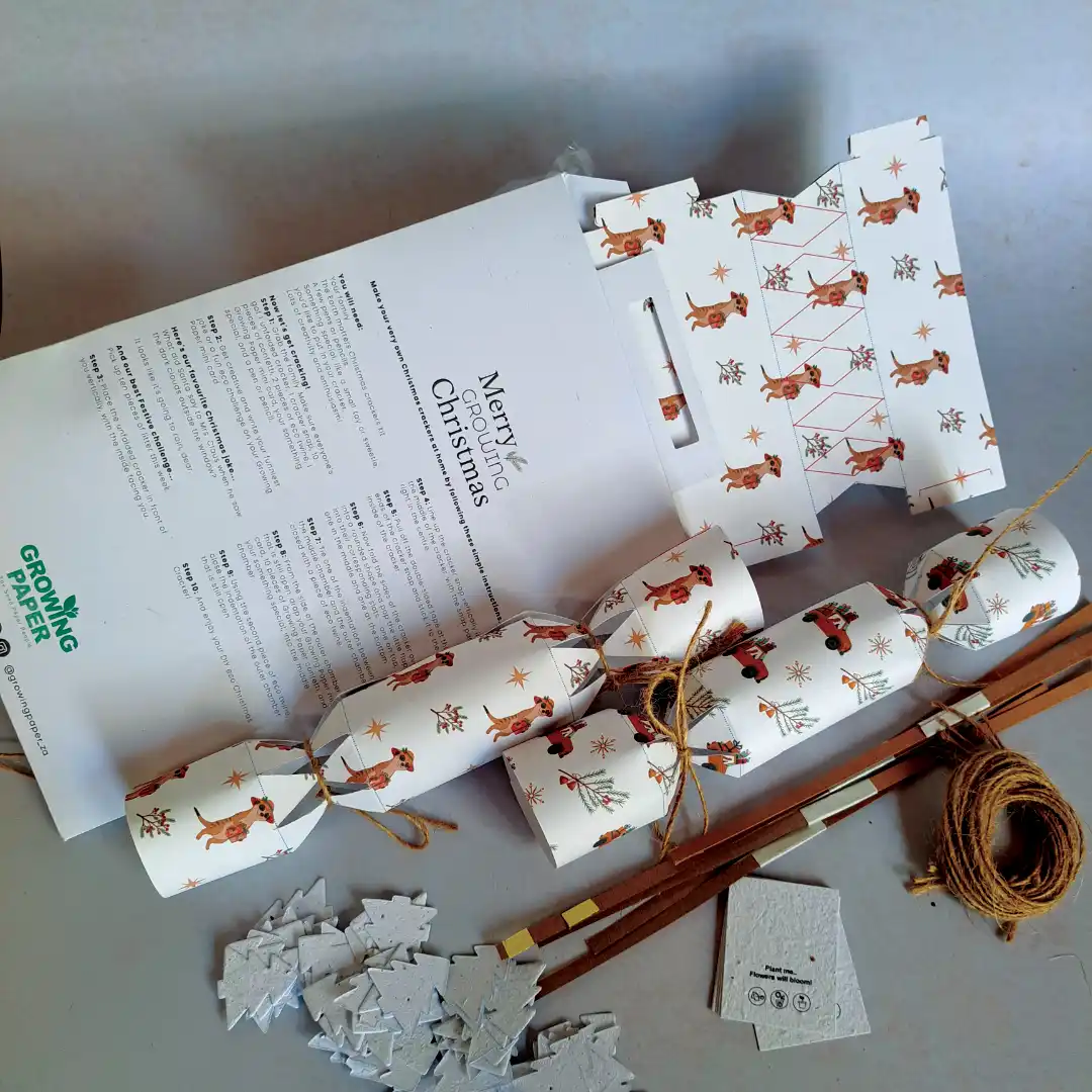 DIY Christmas Crackers - Jolly Springbok